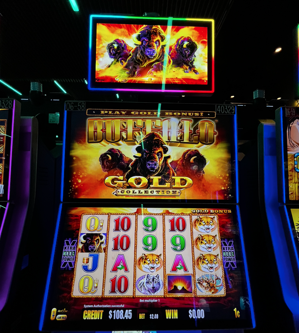 How to Play: Buffalo Gold Slot Machine